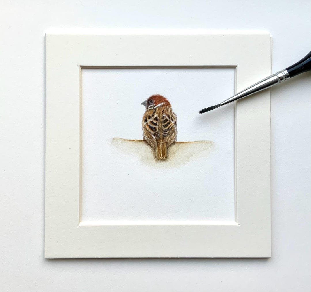 Sparrow Bird Miniature Drawing - Original 2x2 Cm Tiny Bird Art Drawing ...