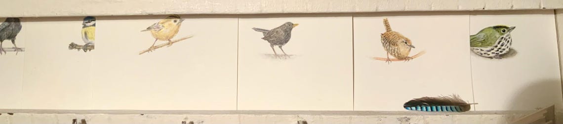 Robin Bird Tiny Drawing - Original 2x2 Cm Tiny Bird Art Drawing ...