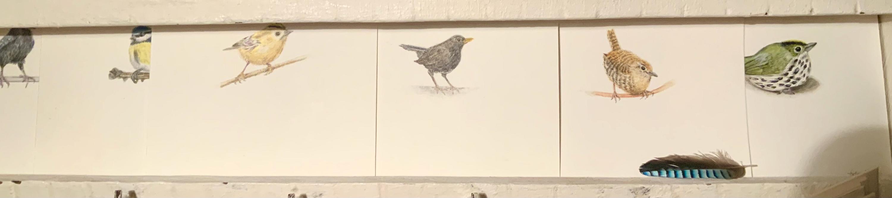 Robin Bird Tiny Drawing - Original 2x2 Cm Tiny Bird Art Drawing ...