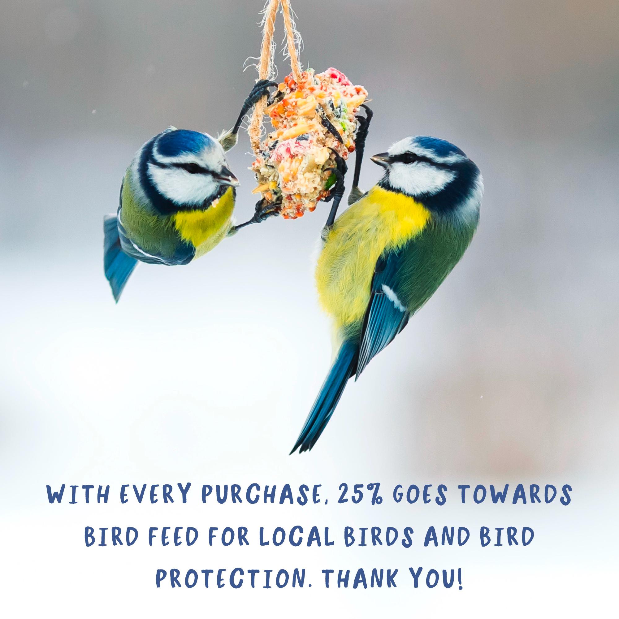 Robin Bird Tiny Drawing - Original 2x2 Cm Tiny Bird Art Drawing ...