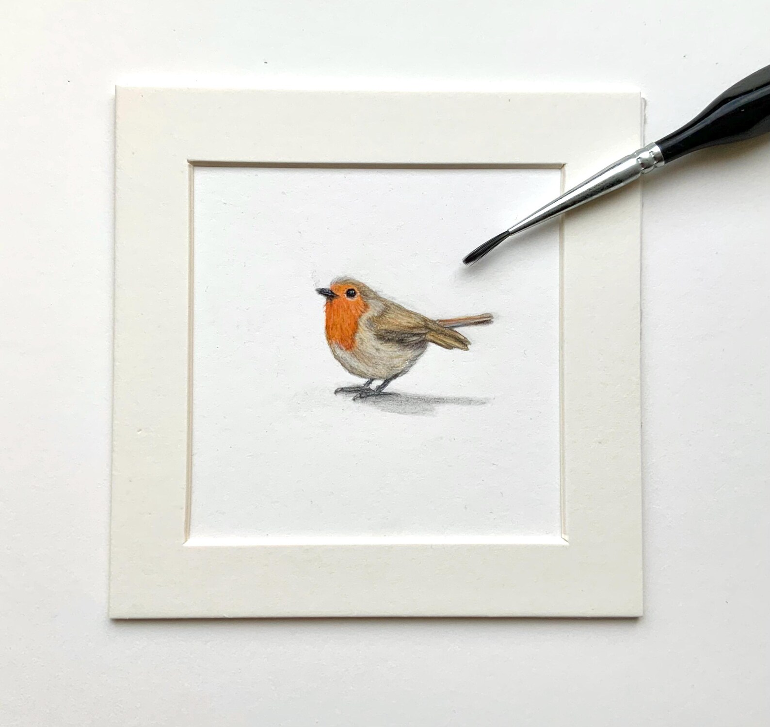 Robin Bird Tiny Drawing - Original 2x2 Cm Tiny Bird Art Drawing ...