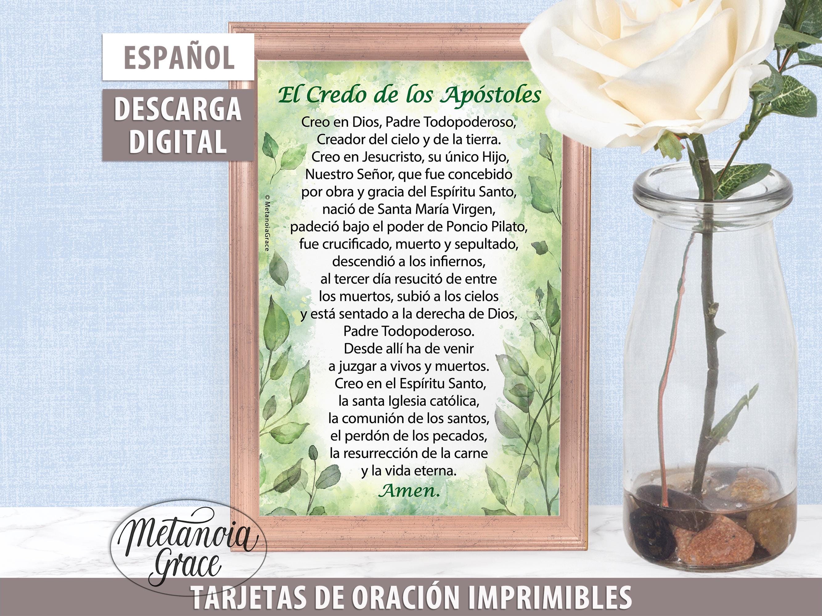 Spanish Creeds Printable Cards, Credo De Los Apostoles, Credo Niceno ...