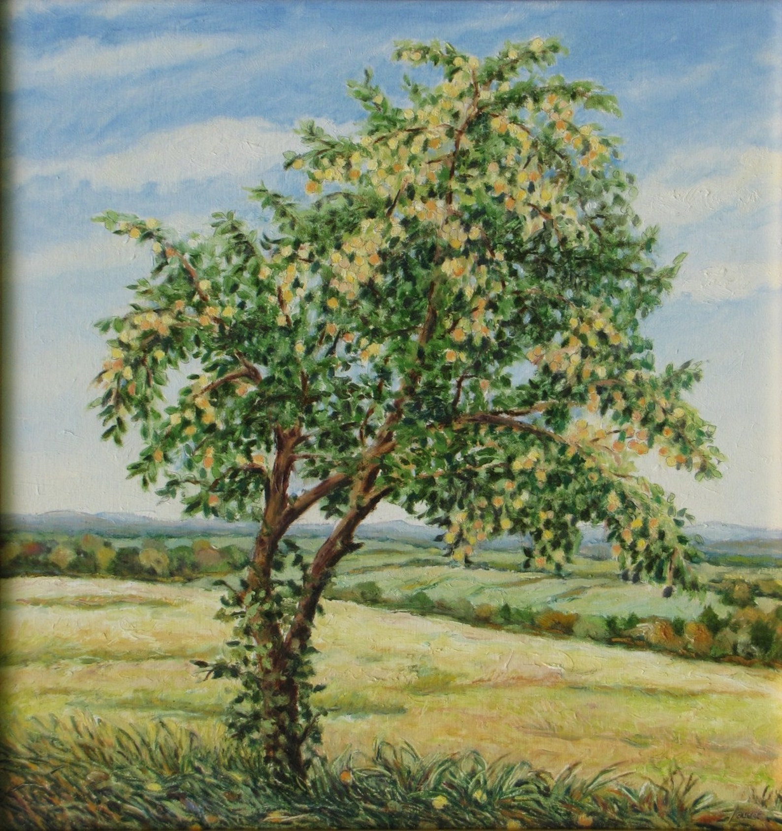 Oil Painting, Original Painting, Apple Tree Painting, Landscape ...