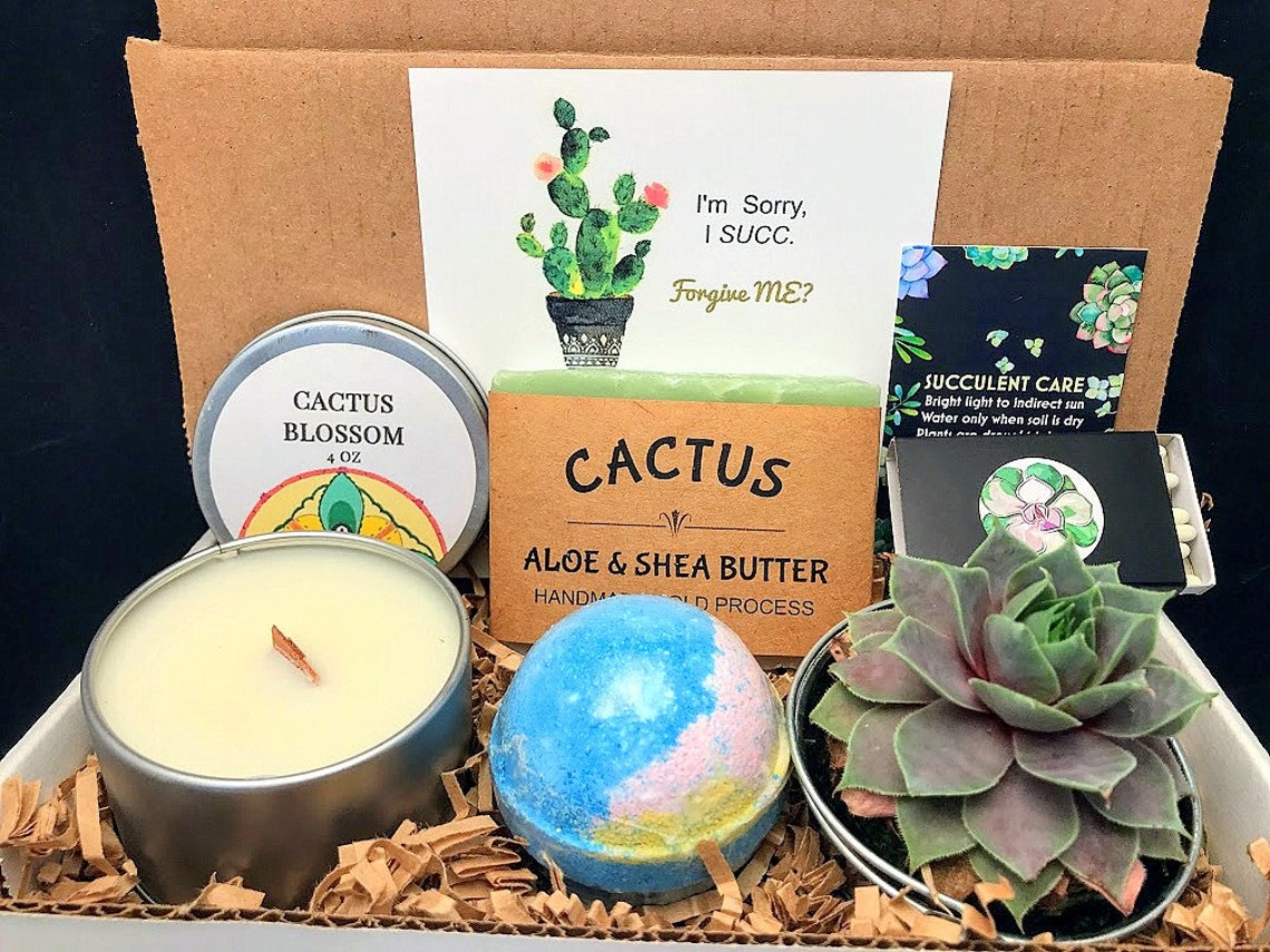 Apology Live Succulent Candle Gift Box I'm Sorry I Succ - Etsy