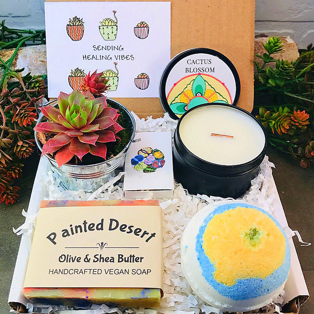 Get Well Gift Box Healing Vibes Succulent Gift Box Set, Send a Gift ...