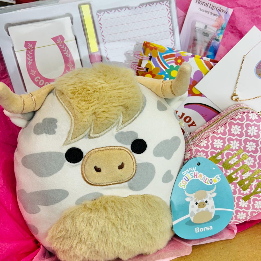 Cowgirl Gift Box for Girls | Squishmallow Journal Set | Tween Birthday ...