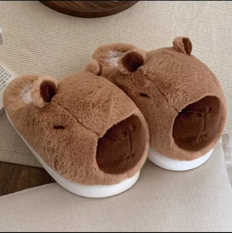 Couple Cute Capybara Slippers funny Animal Winter Soft Heel Platform ...