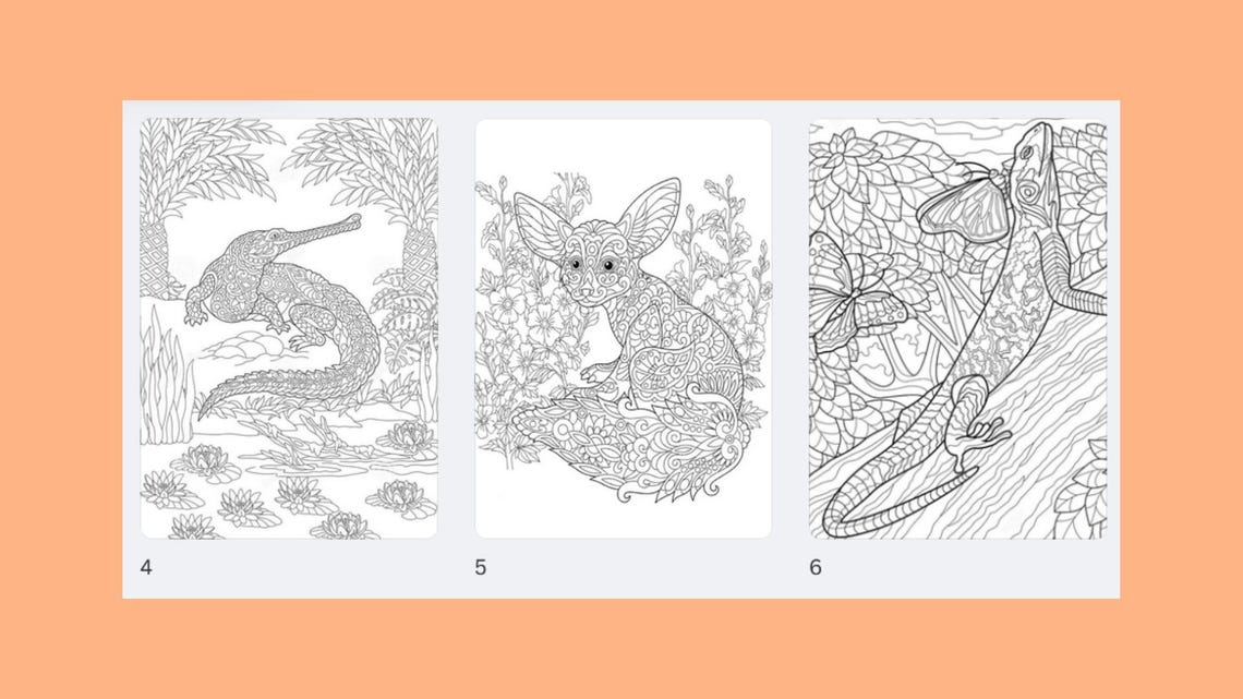 Wild Wonders: Animal Kingdom Coloring Book for Relaxation & Creativity ...