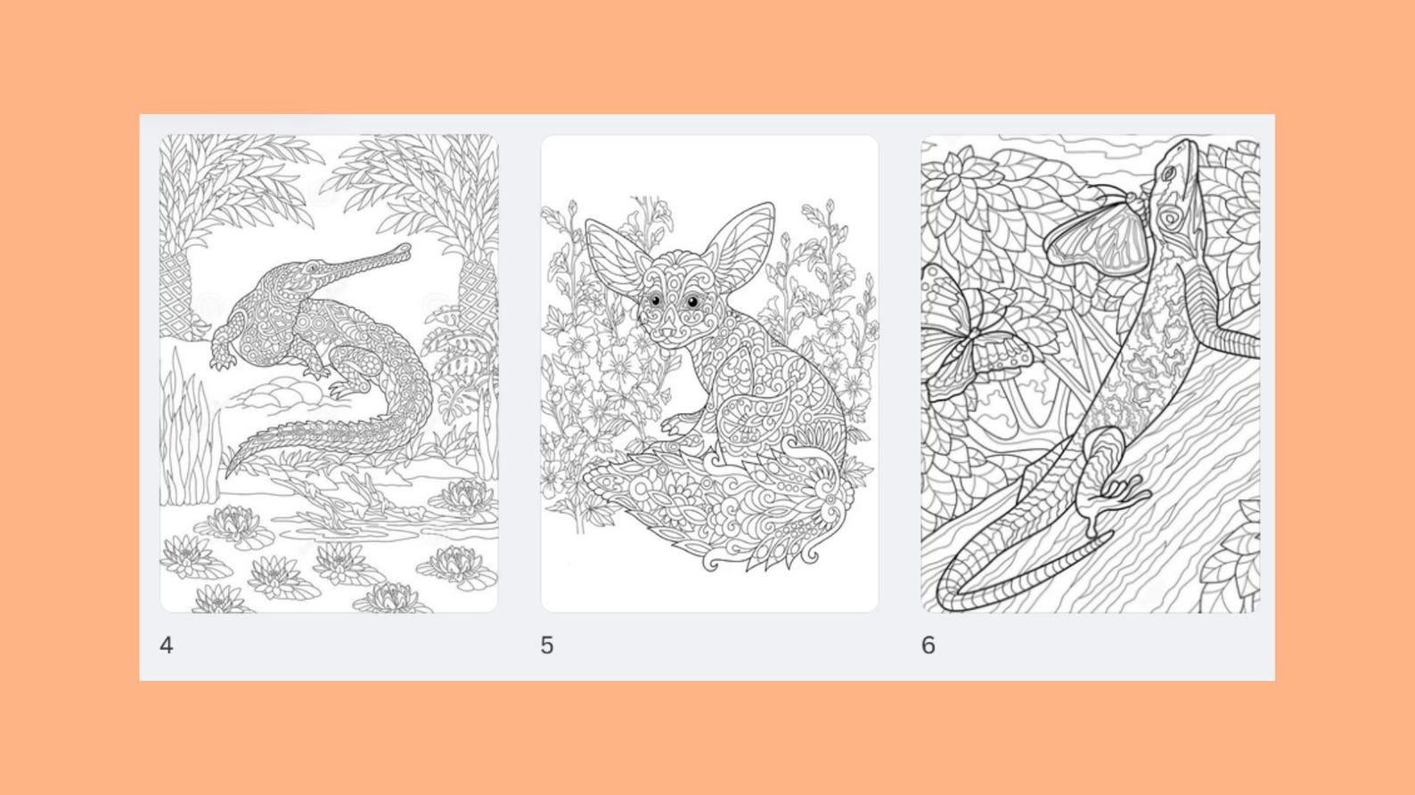 Wild Wonders: Animal Kingdom Coloring Book for Relaxation & Creativity ...