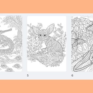 Wild Wonders: Animal Kingdom Coloring Book for Relaxation & Creativity ...