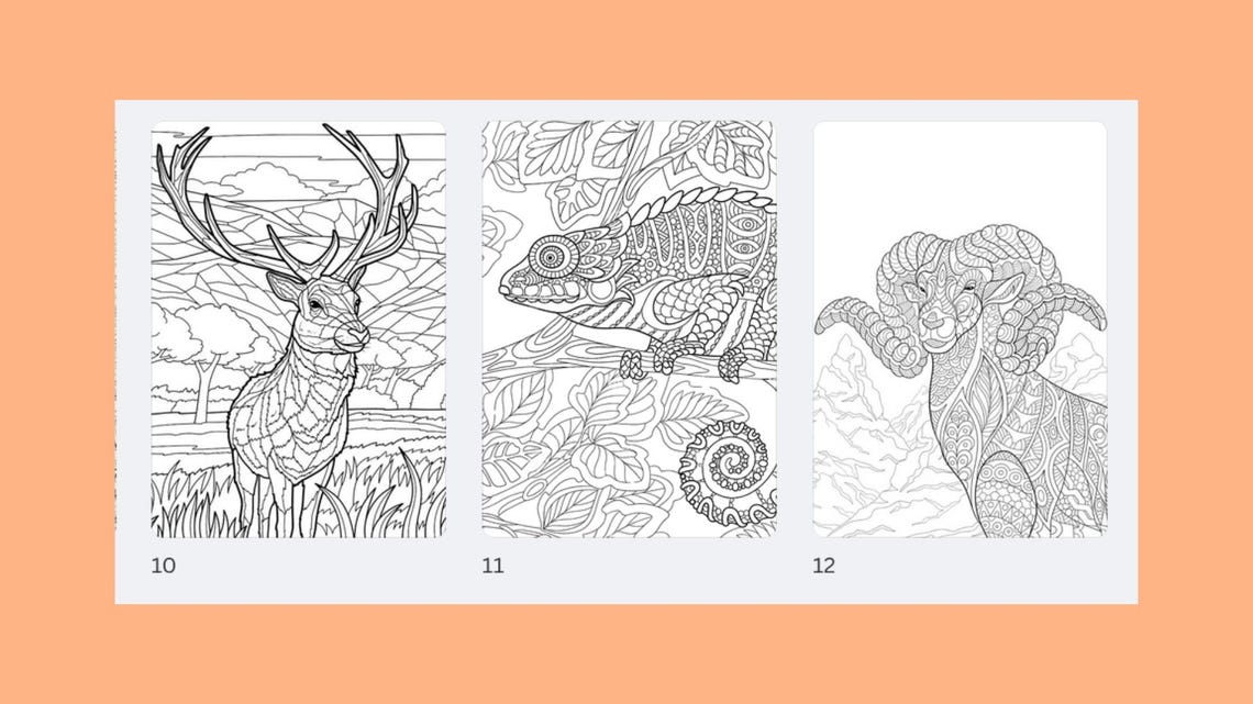 Wild Wonders: Animal Kingdom Coloring Book for Relaxation & Creativity ...
