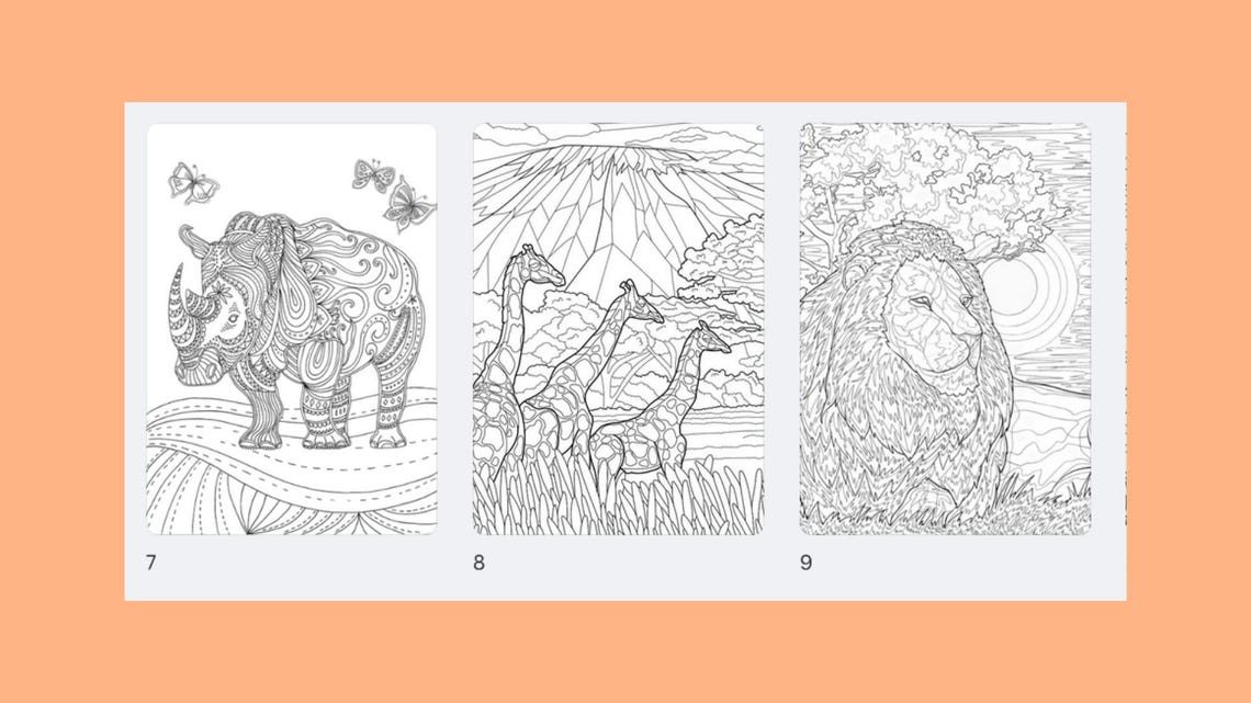Wild Wonders: Animal Kingdom Coloring Book for Relaxation & Creativity ...