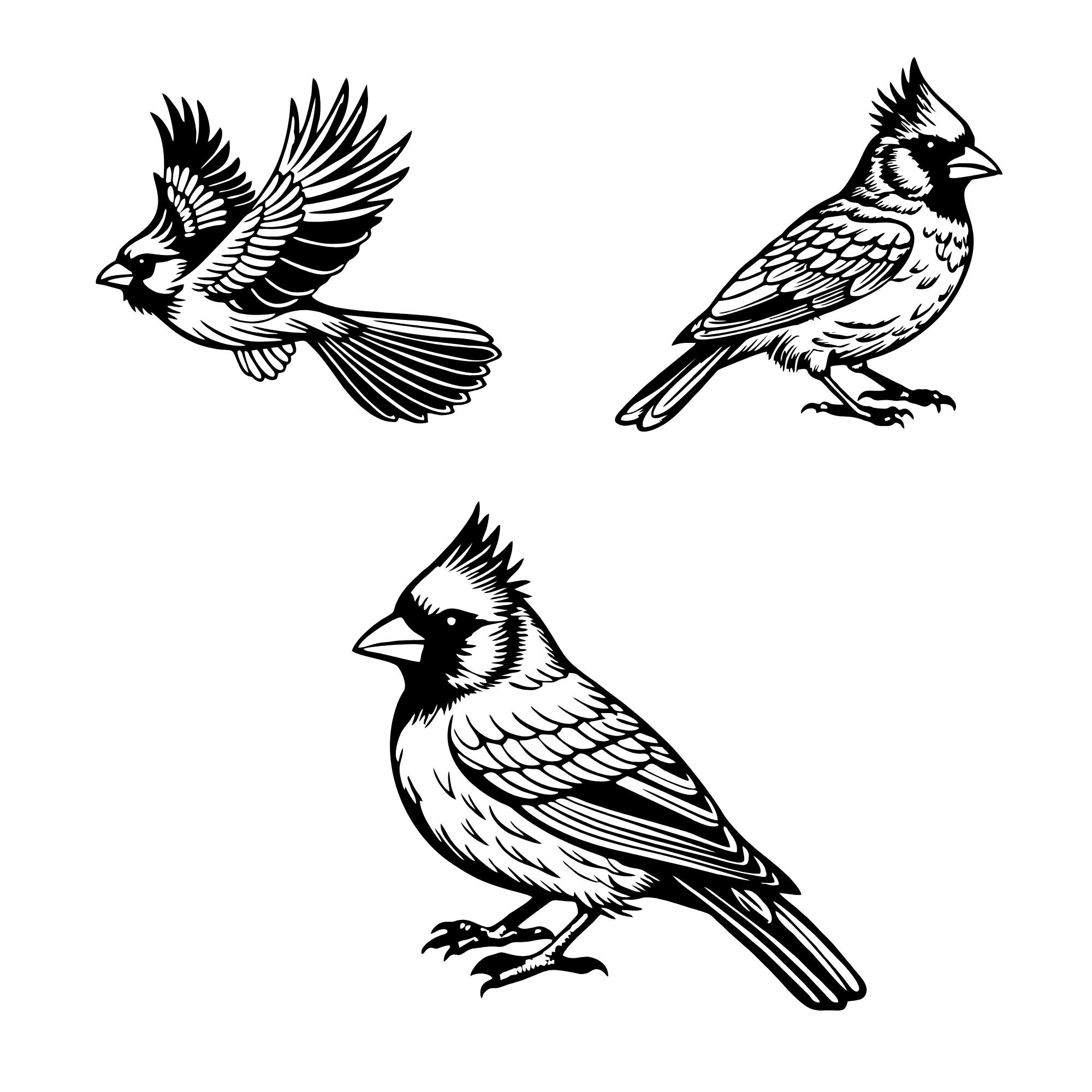 Birds Svg Bundle, Flying Birds, Layered Svg, Bird Lover Gift, Birds ...