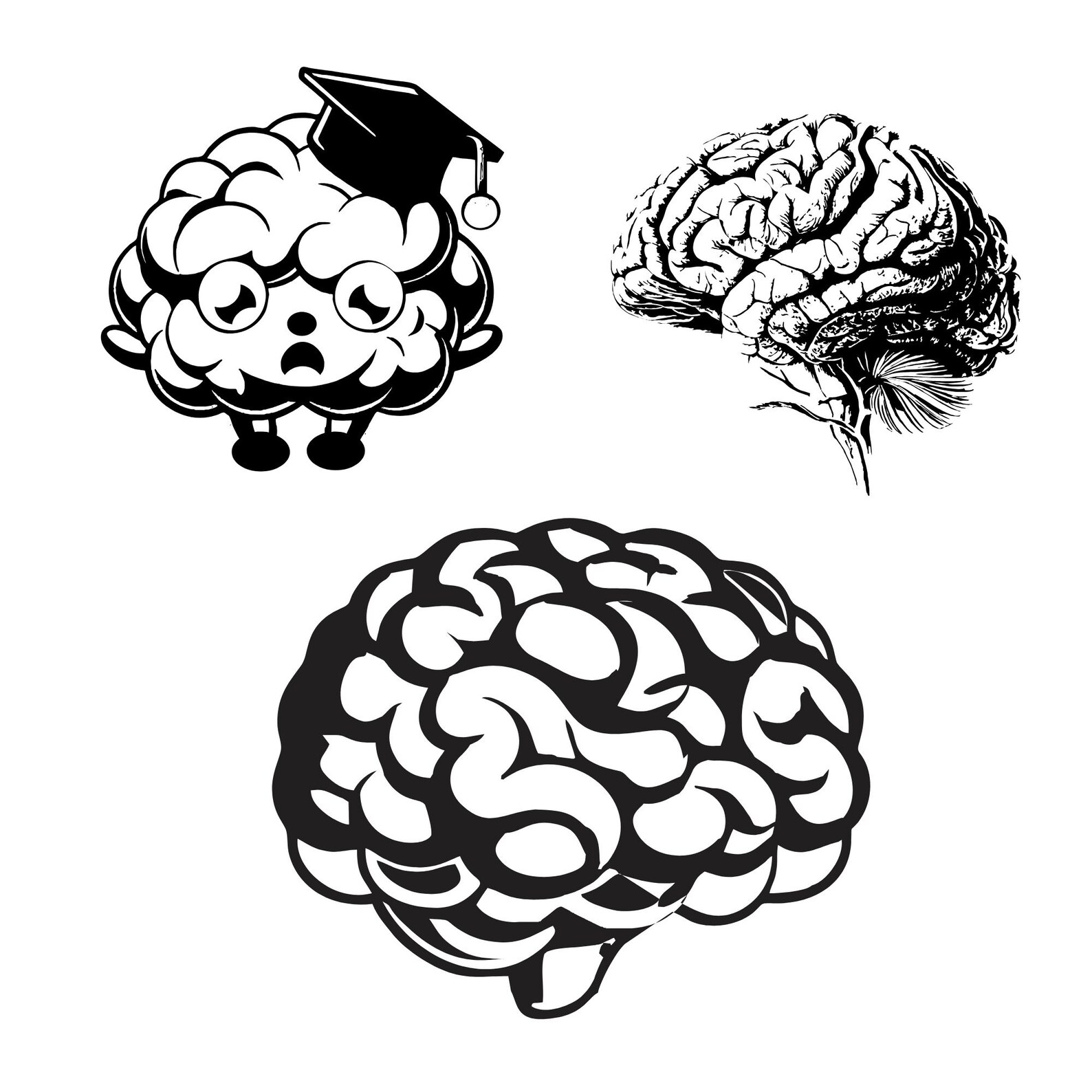 Brain Svg Bundle, Mind Clipart, Human Brain Vector, Brain Decal, Brain ...
