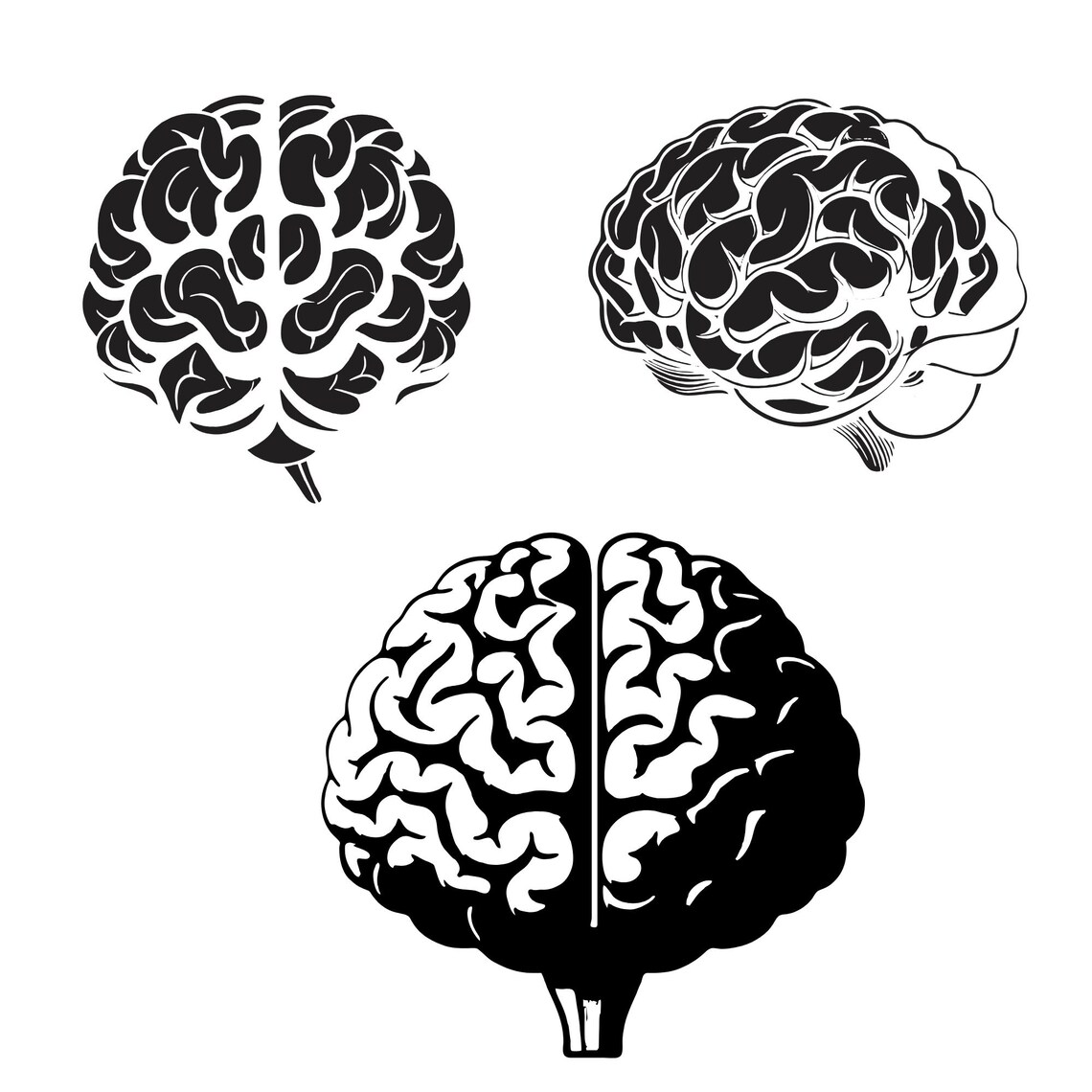 Brain Svg Bundle, Mind Clipart, Human Brain Vector, Brain Decal, Brain ...