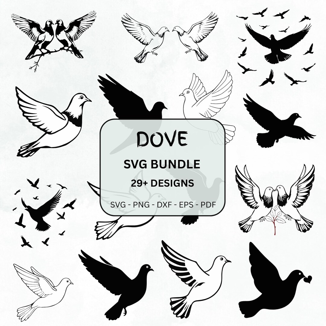 Dove SVG Bundle, Dove PNG Bundle, Dove Clipart, Pigeon SVG Cut Files ...