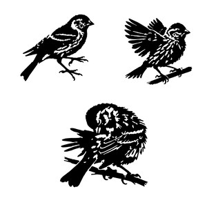 Birds Svg Bundle, Flying Birds, Layered Svg, Bird Lover Gift, Birds ...