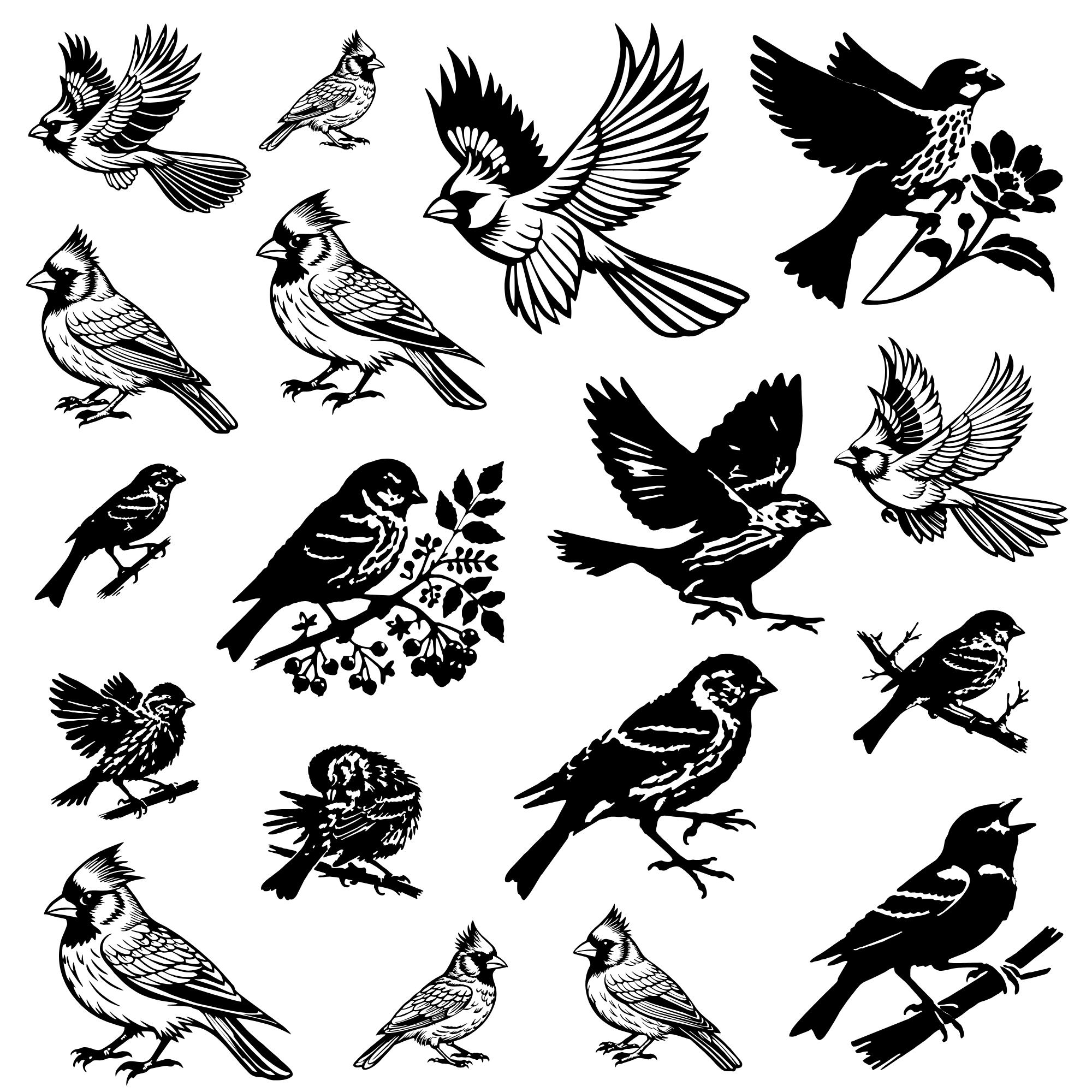 Birds Svg Bundle, Flying Birds, Layered Svg, Bird Lover Gift, Birds ...