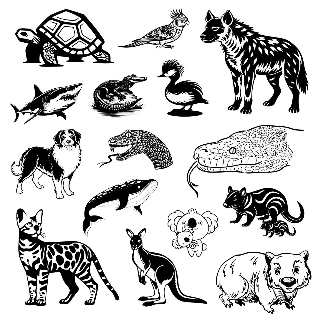 Australian Animals Svg Bundle, Animal Clipart, Australian Animal ...