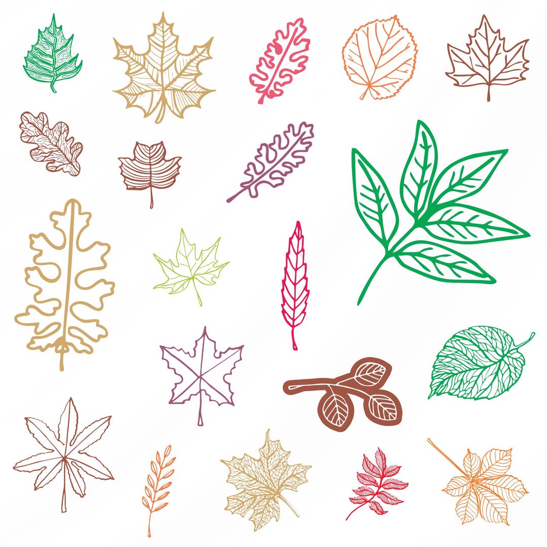 Leaf Svg Bundle, Fall Leaf Clipart, Leaf Vector, Branch Decal, Twig Cut ...