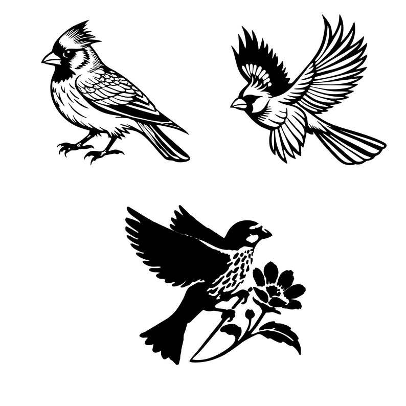 Birds Svg Bundle, Flying Birds, Layered Svg, Bird Lover Gift, Birds ...
