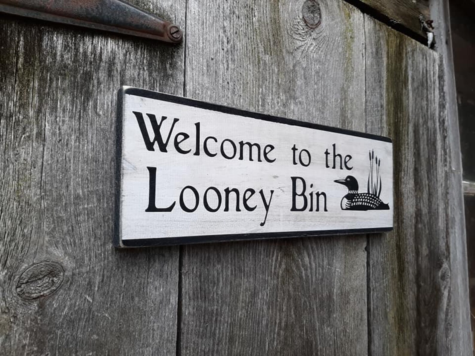 Welcome to the Looney Bin Shabby Primitive Cottage Wood Painted Sign - Etsy