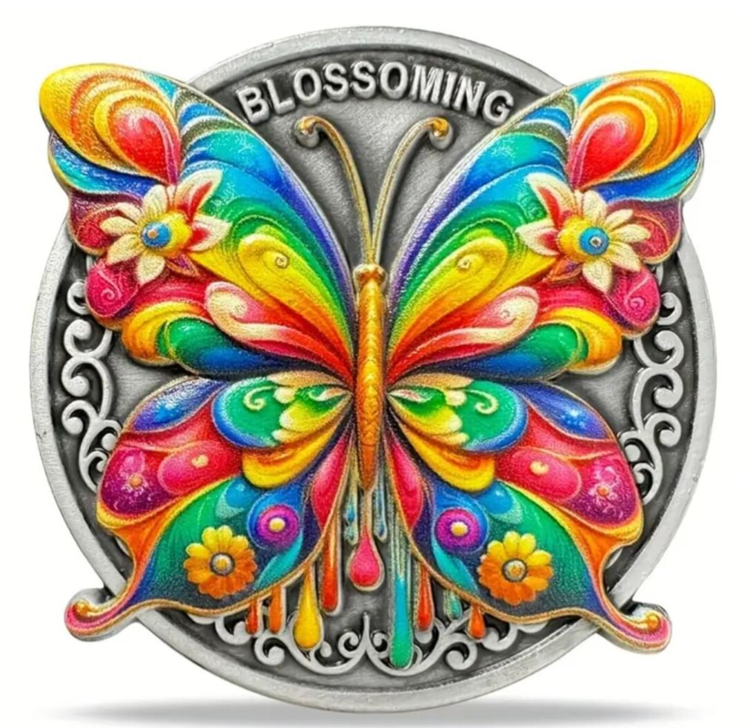 Rainbow Butterfly Sobriety Coin: Inspirational Recovery Medallion - Etsy
