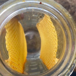 Bee Hive Comb Collector - Etsy