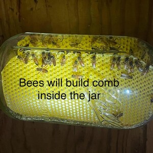 Bee Hive Comb Collector - Etsy