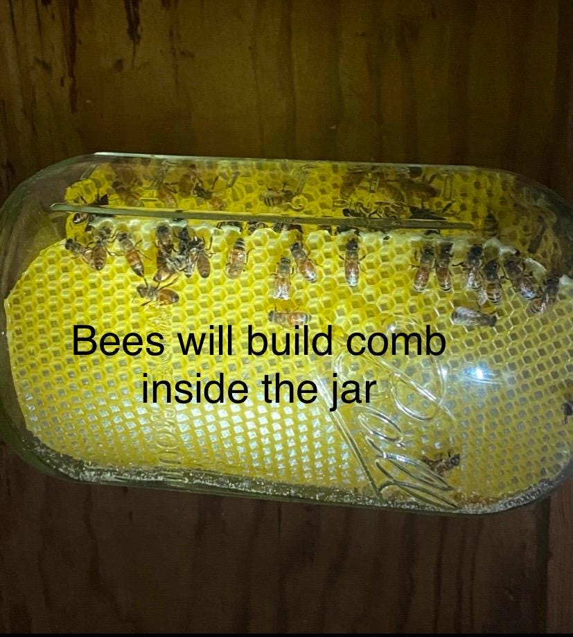 Flow Hive Beehive Mason Jar Add-on - Etsy