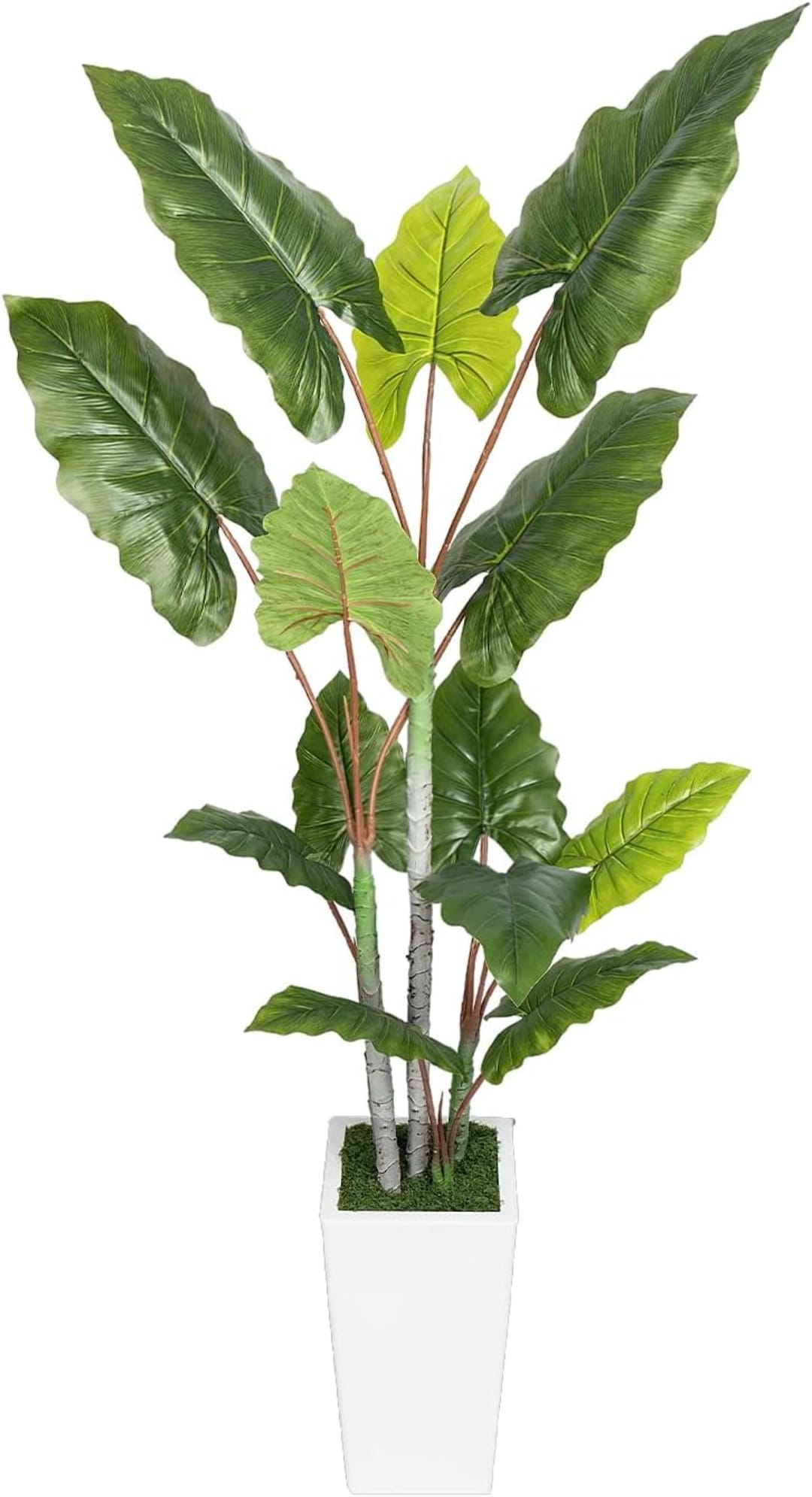 5.5FT Artificial Tree | White Tall Planter | Indoor Faux Plant - Etsy
