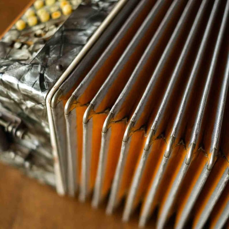 Vintage Accordion the Legendary Instrument That Brings the Melodies of ...
