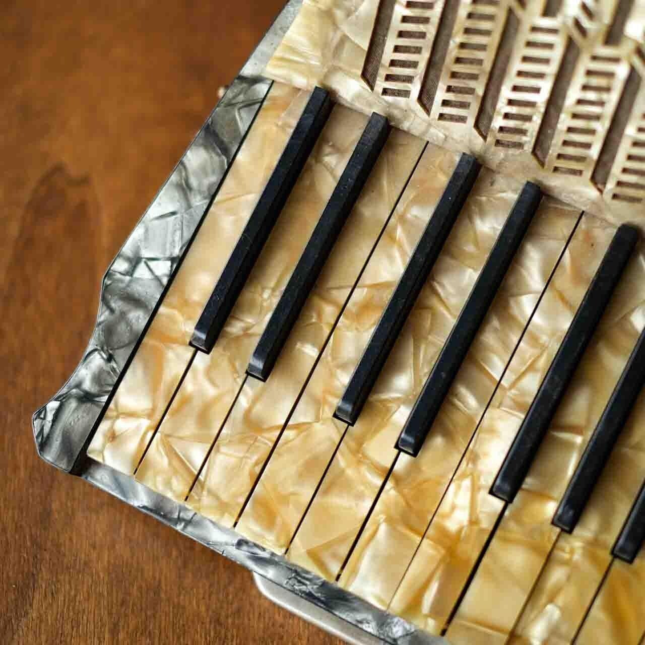 Vintage Accordion the Legendary Instrument That Brings the Melodies of ...