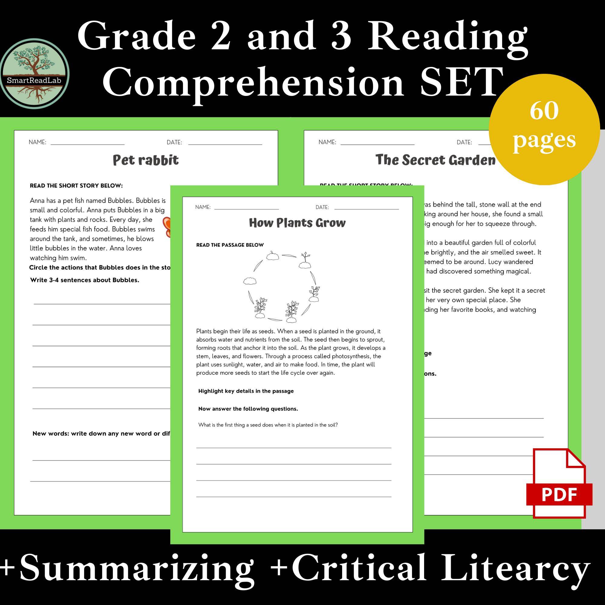 2nd-3rd Grade Reading Comprehension Worksheet Bundle - Printable ...