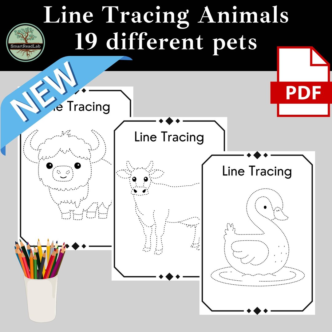 Line Tracing Animals - Preschool Art Skills - Kindergarten Line Tracing ...