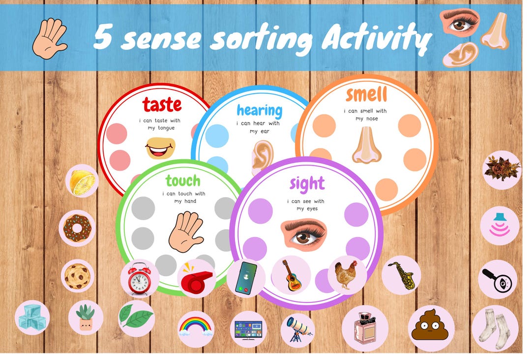 Five Senses Sorting Activity, 5 Senses Classification Game, Preschool ...