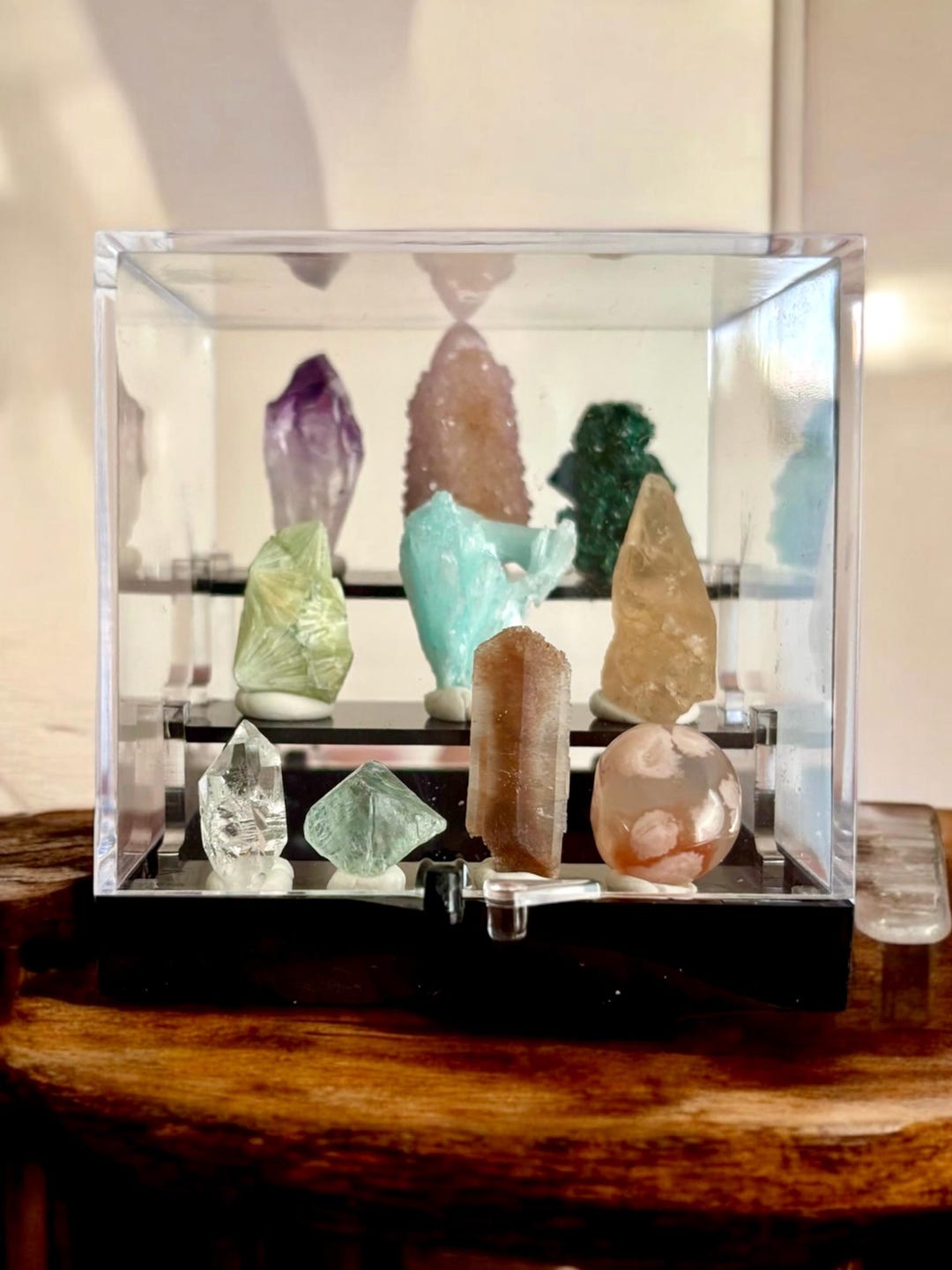 Hand Curated Mineral & Crystal Display Case - Etsy