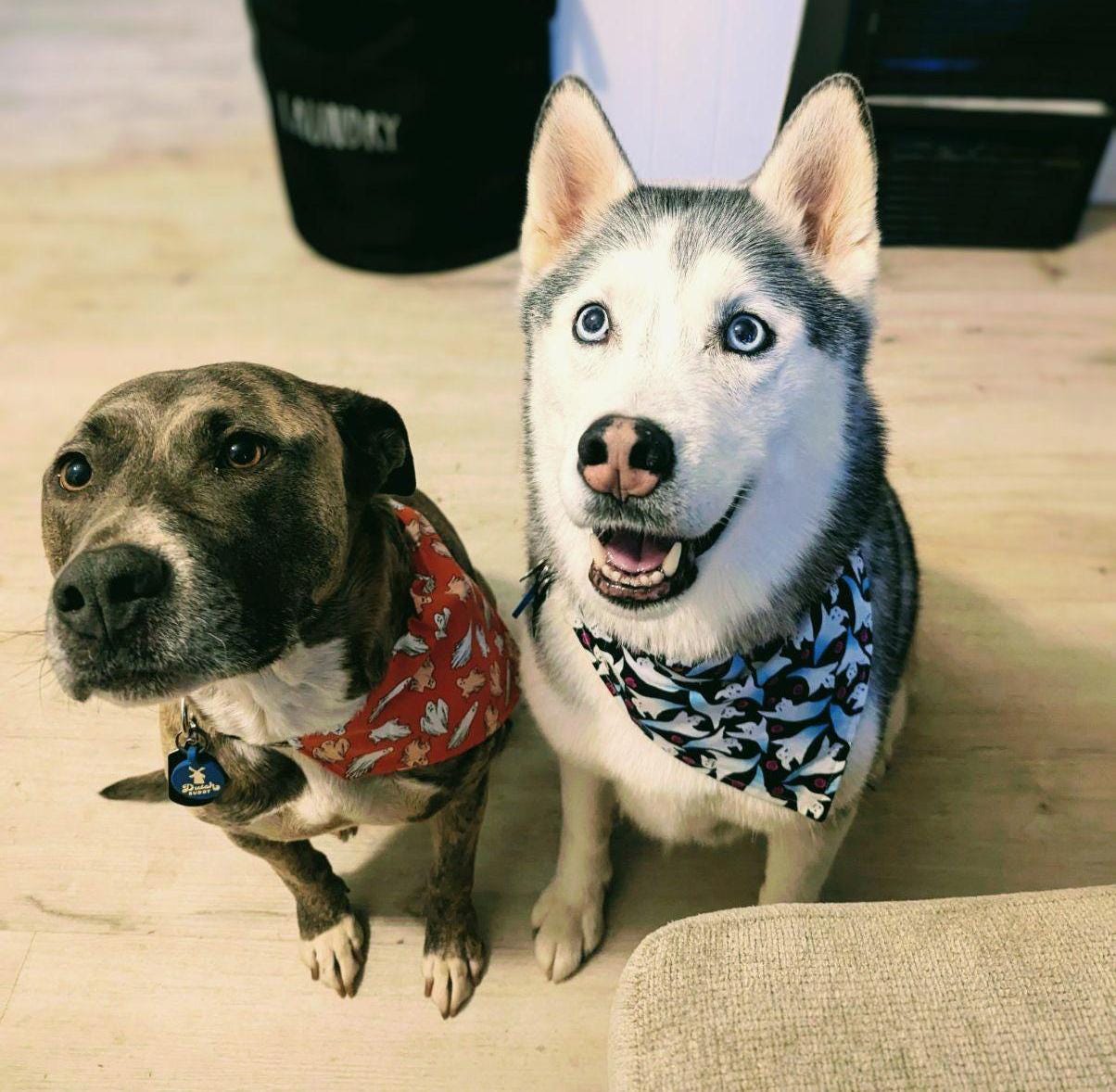 Pink Cow Print Dog Bandana | Clothing for Animals | Pet Collar Bandana ...