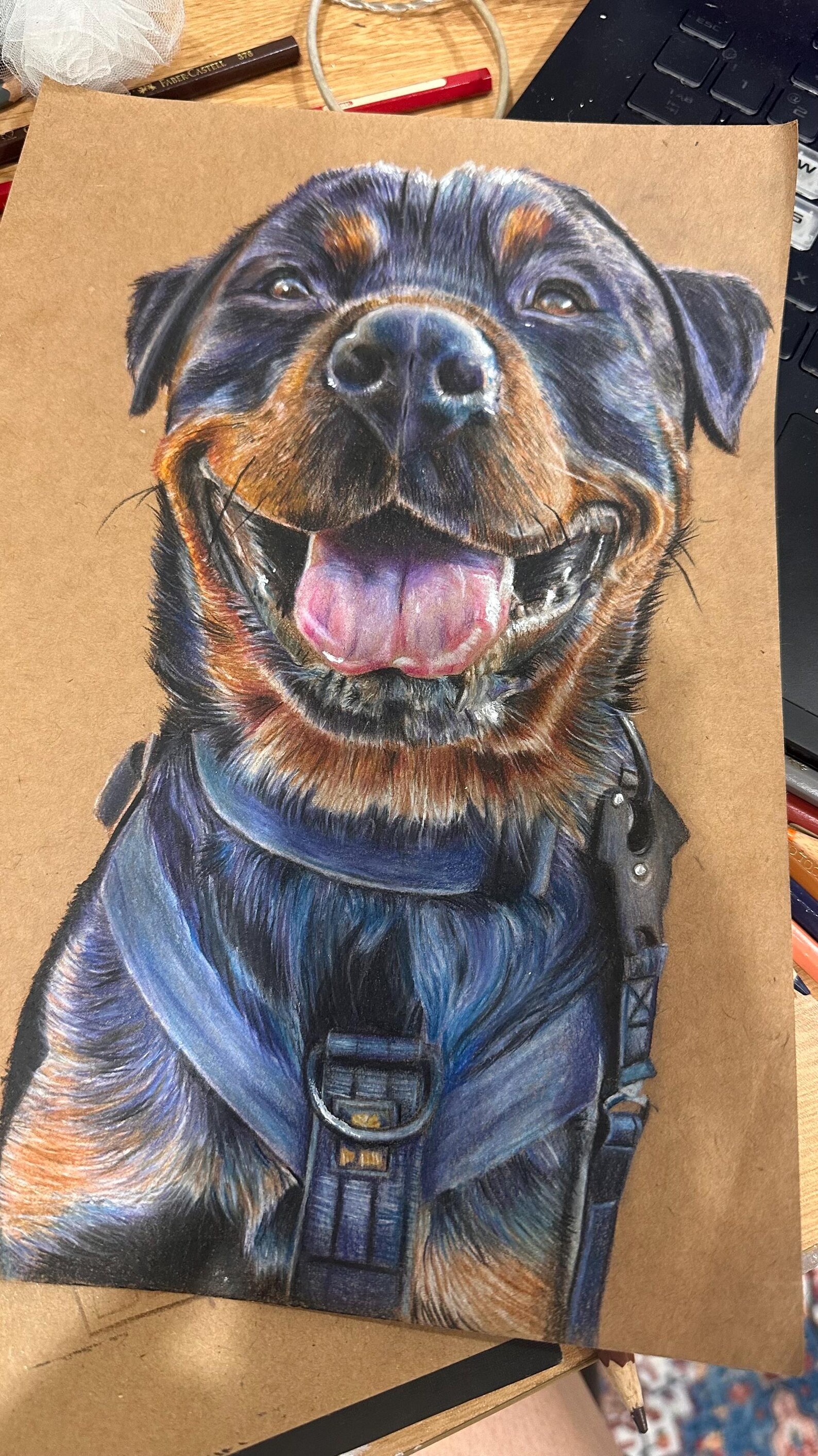 Pet Pencil Drawing Portrait Customised Commission Animals - Etsy