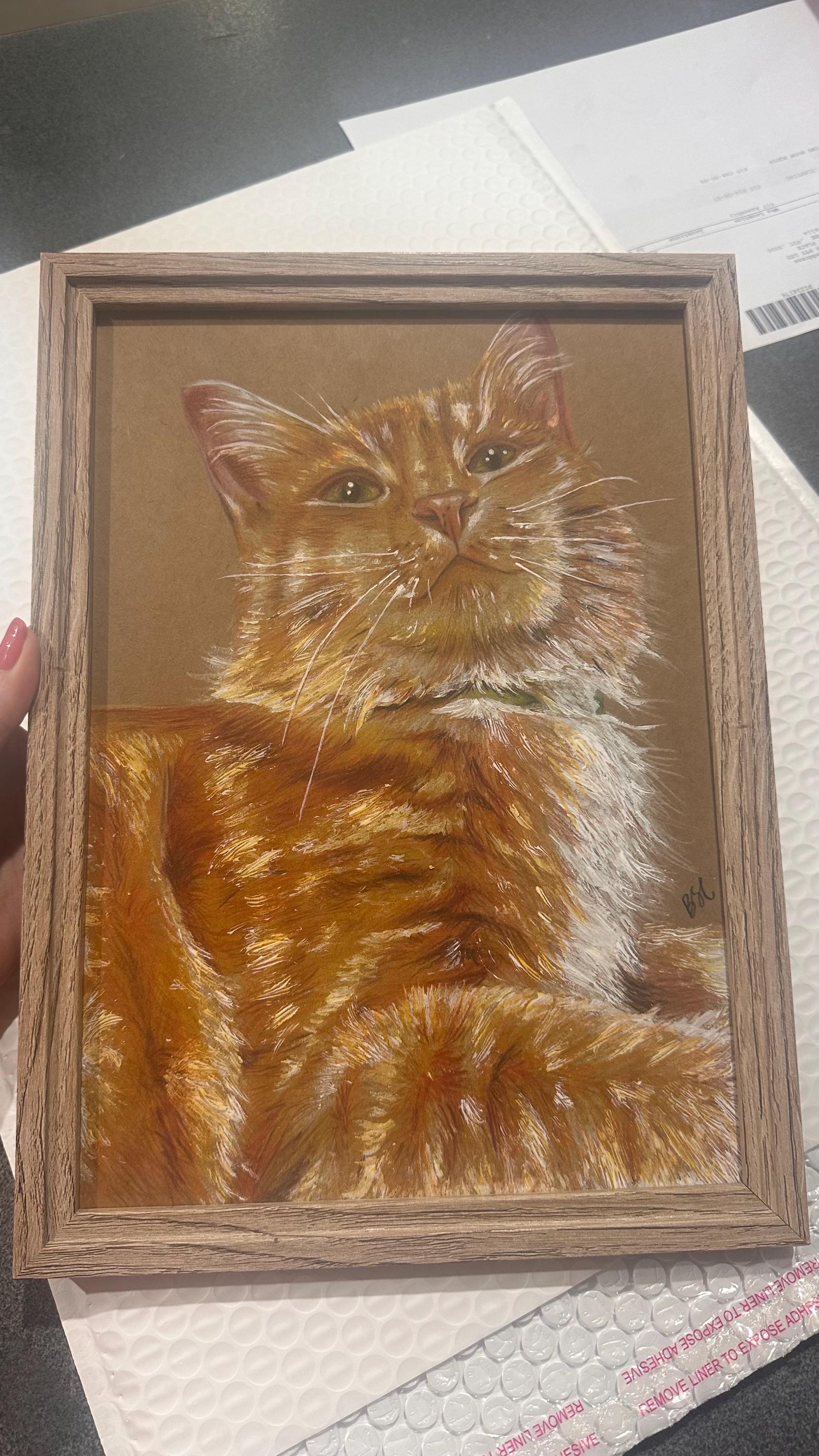 Pet Pencil Drawing Portrait Customised Commission Animals - Etsy