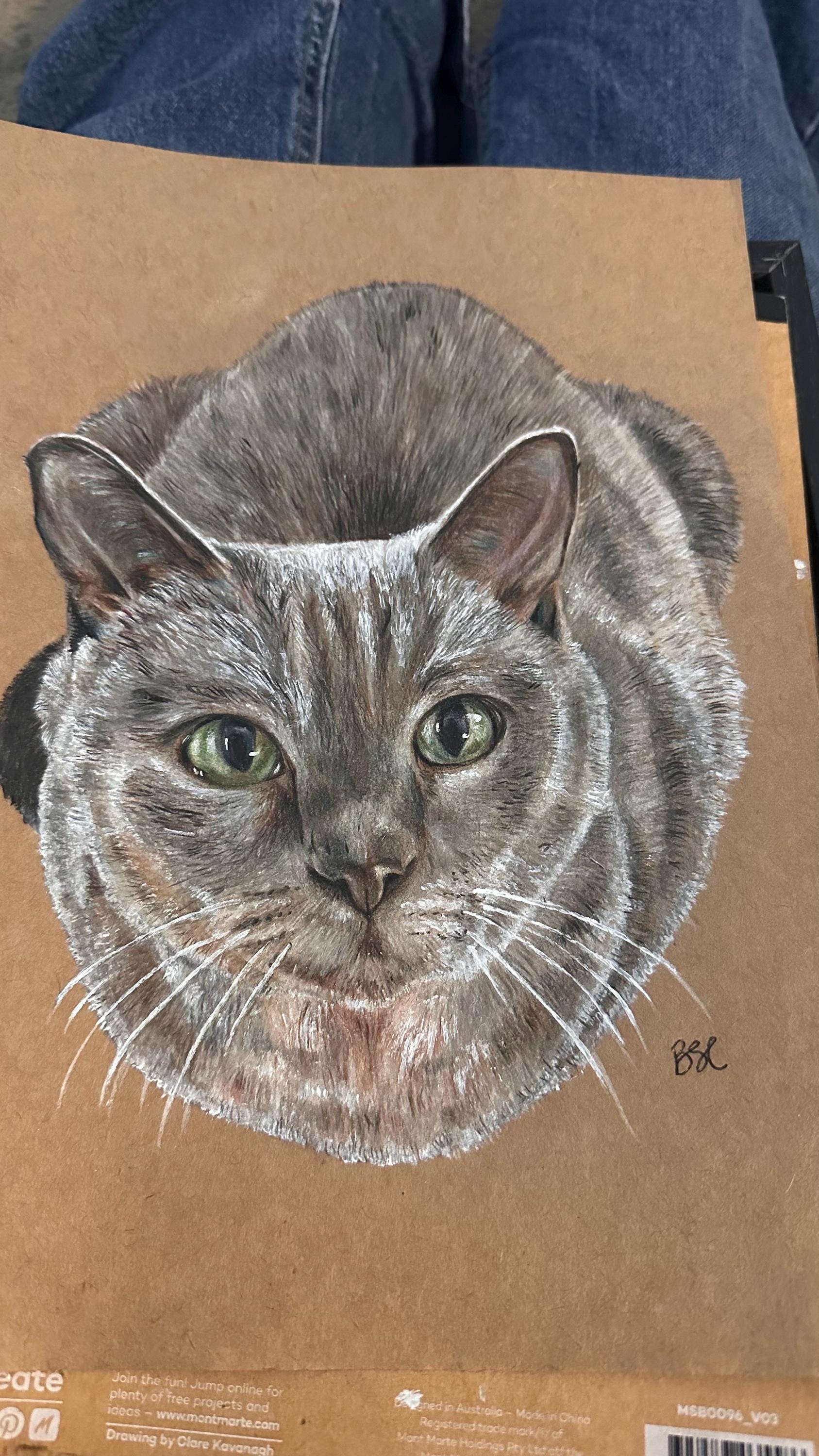 Pet Pencil Drawing Portrait Customised Commission Animals - Etsy