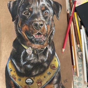 Pet Pencil Drawing Portrait Customised Commission Animals - Etsy
