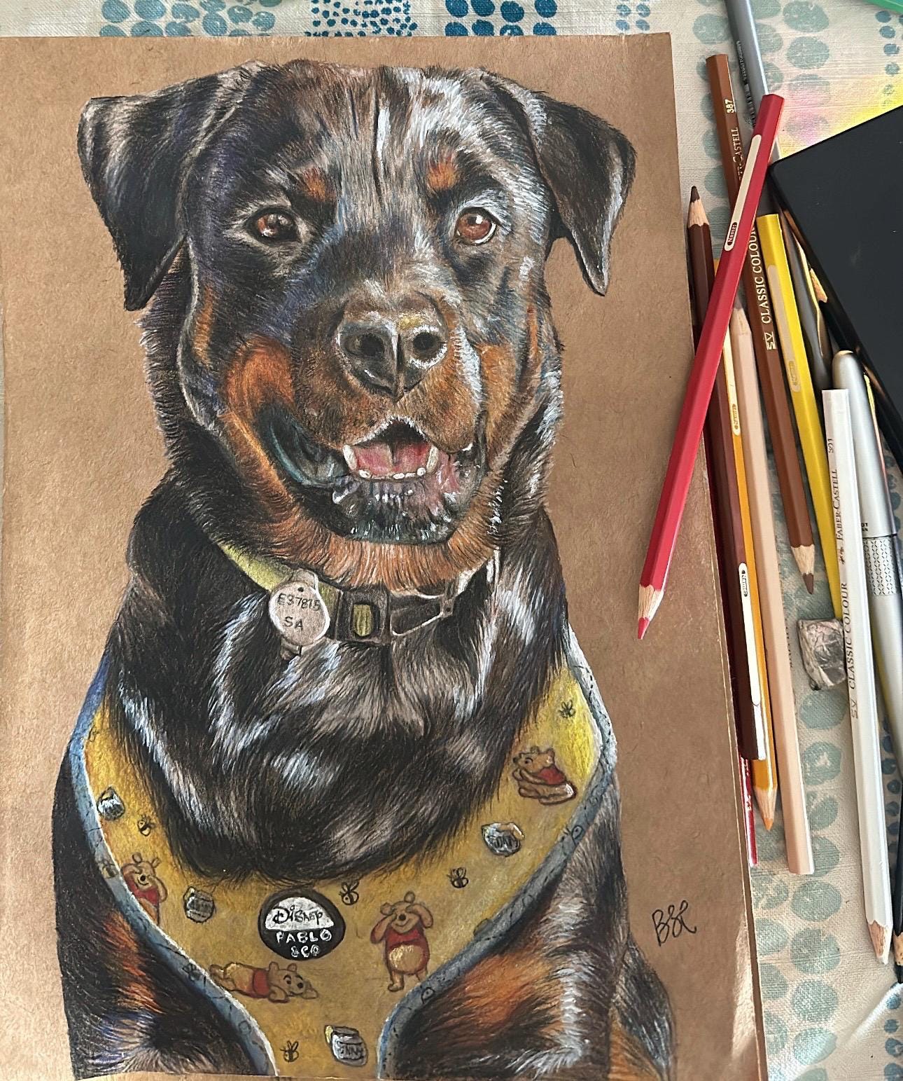 Pet Pencil Drawing Portrait Customised Commission Animals - Etsy