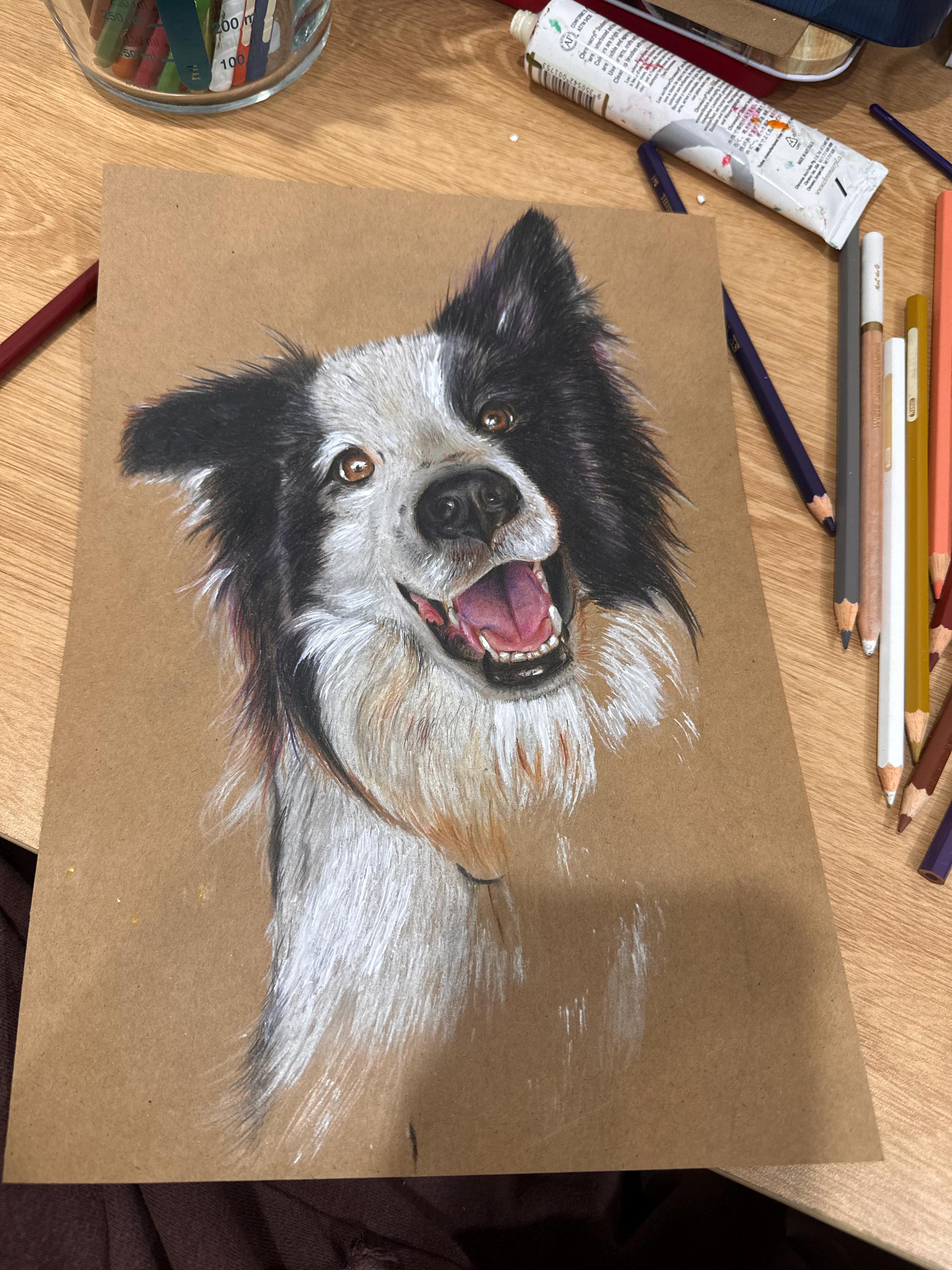Pet Pencil Drawing Portrait Customised Commission Animals - Etsy