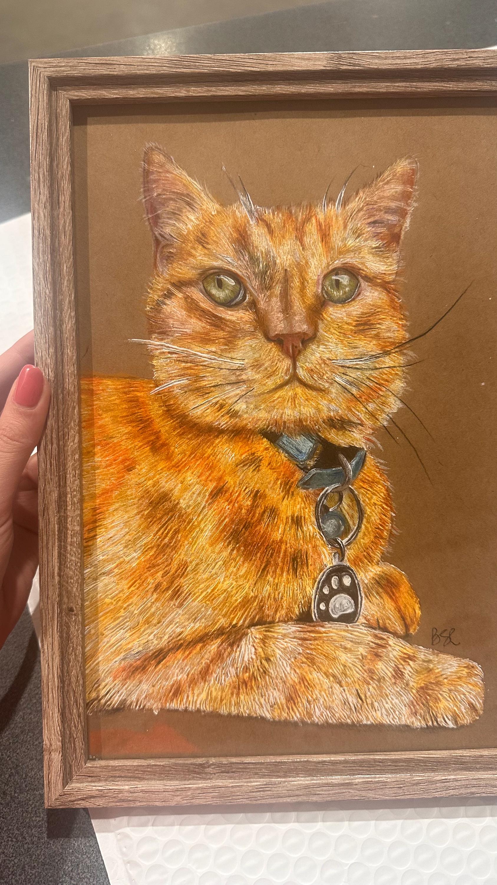 Pet Pencil Drawing Portrait Customised Commission Animals - Etsy