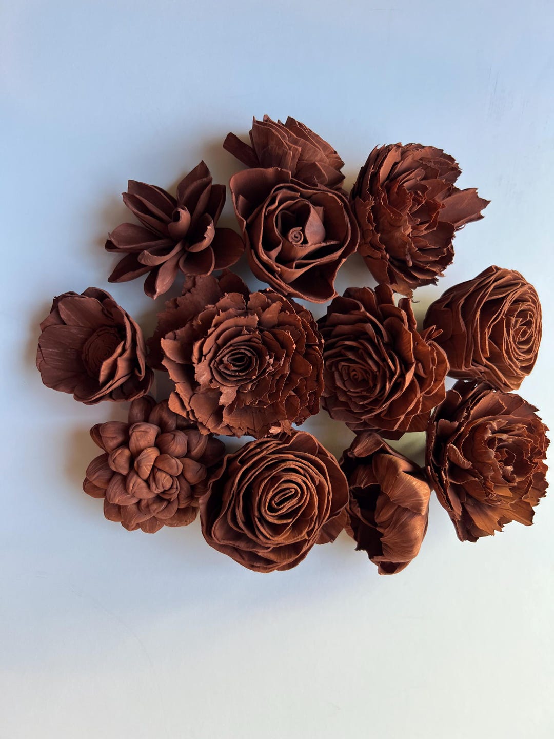 Sola Wood Lose Flowers Deep Rust - Etsy