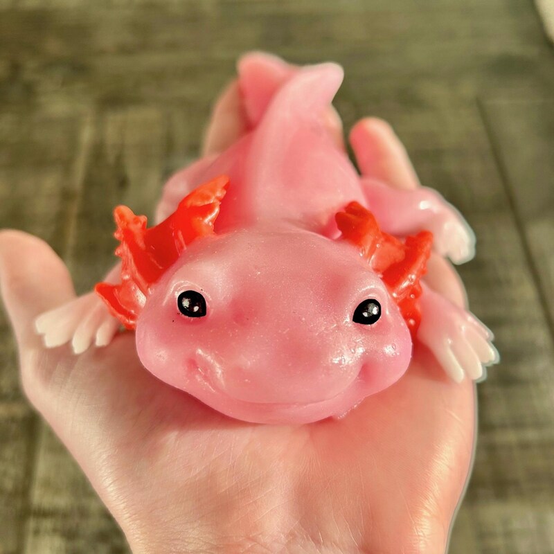 Axolotl Squishy - Etsy