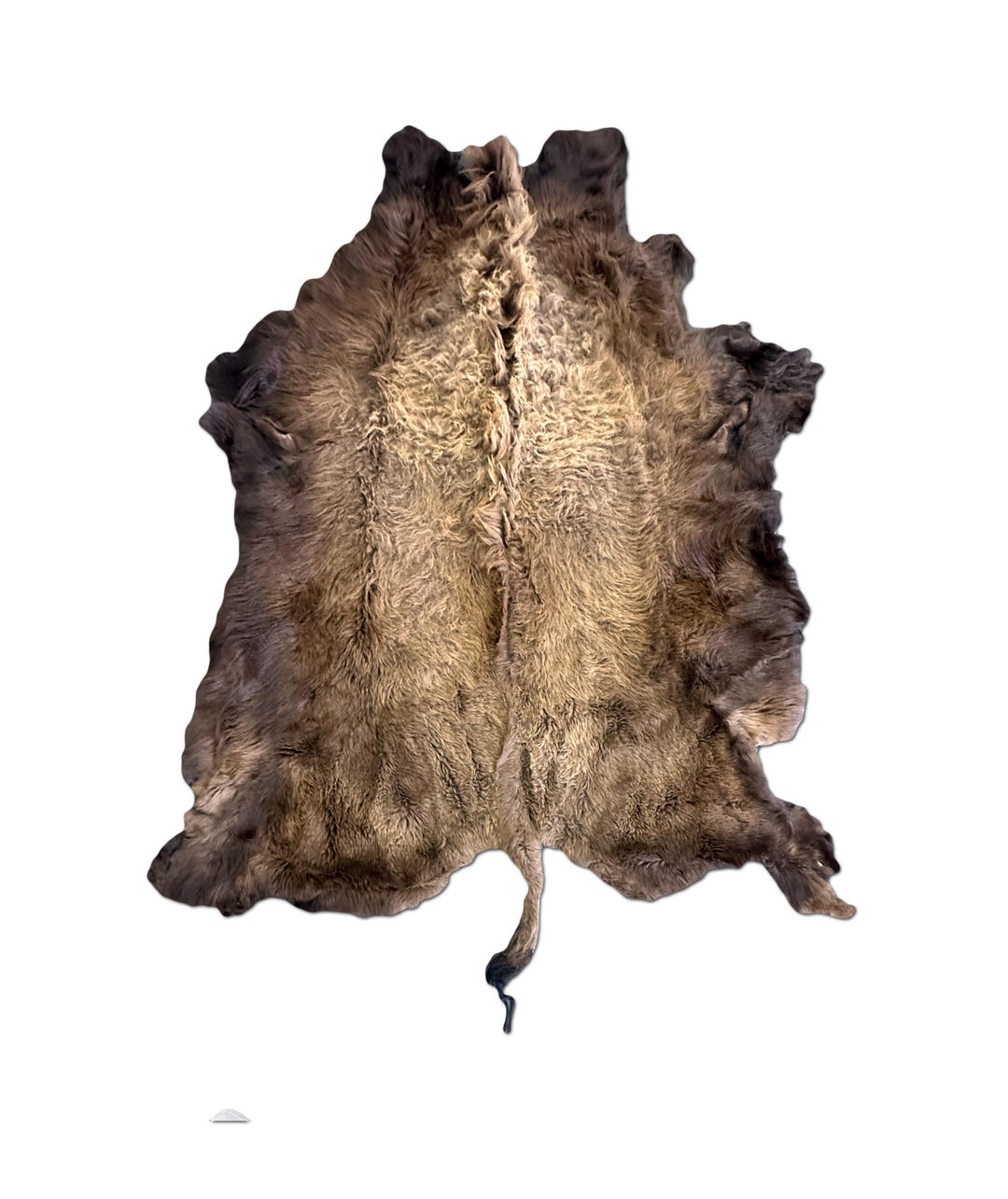 XL American Buffalo Bison Hide Fur Robe Rug 6'+ X 9'+ | Grade A+ NEW ...