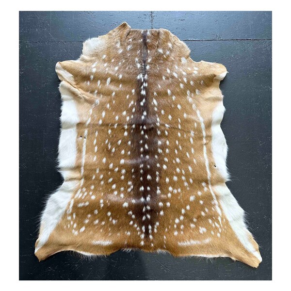 Deer Hide - Etsy