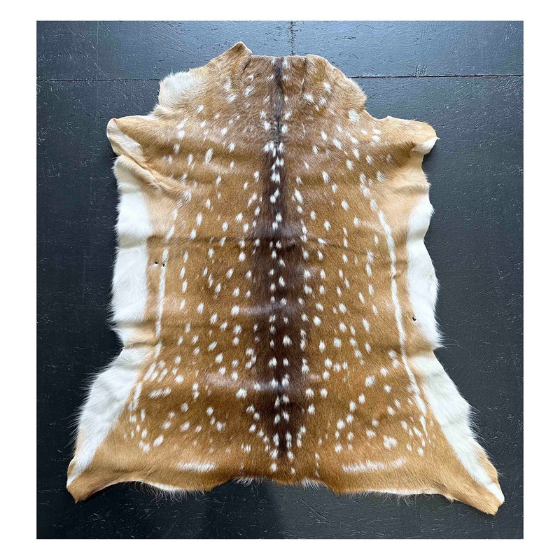 Deer Hide - Etsy